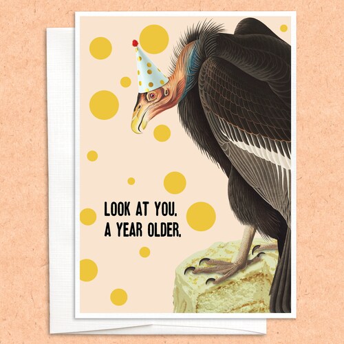 Vulture Birthday Card Funny Greeting Card Humor Bday Bird - Etsy