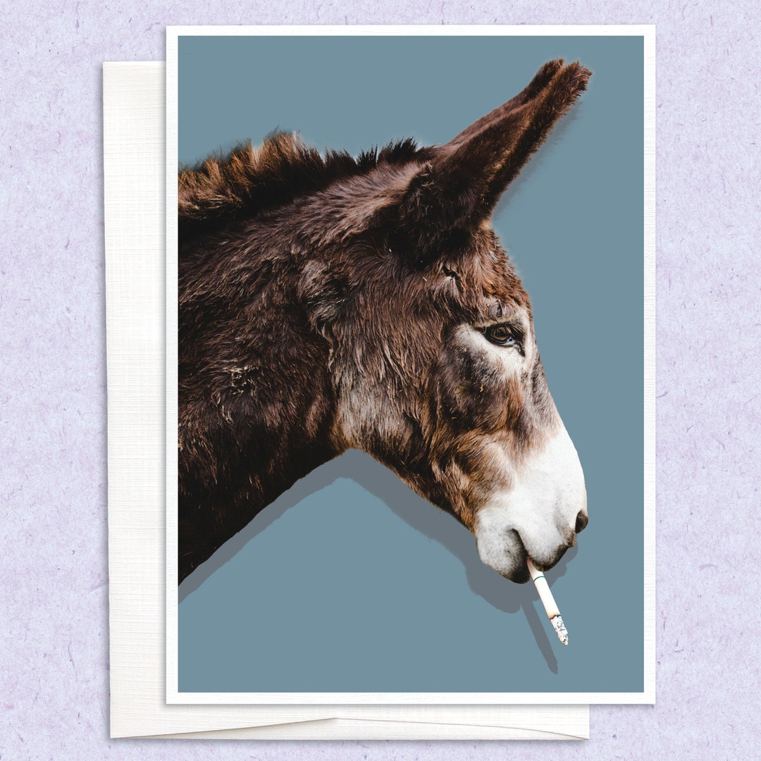 Smoking Donkey Card, Funny Greeting Card, Funny Card, Donkey Card ...