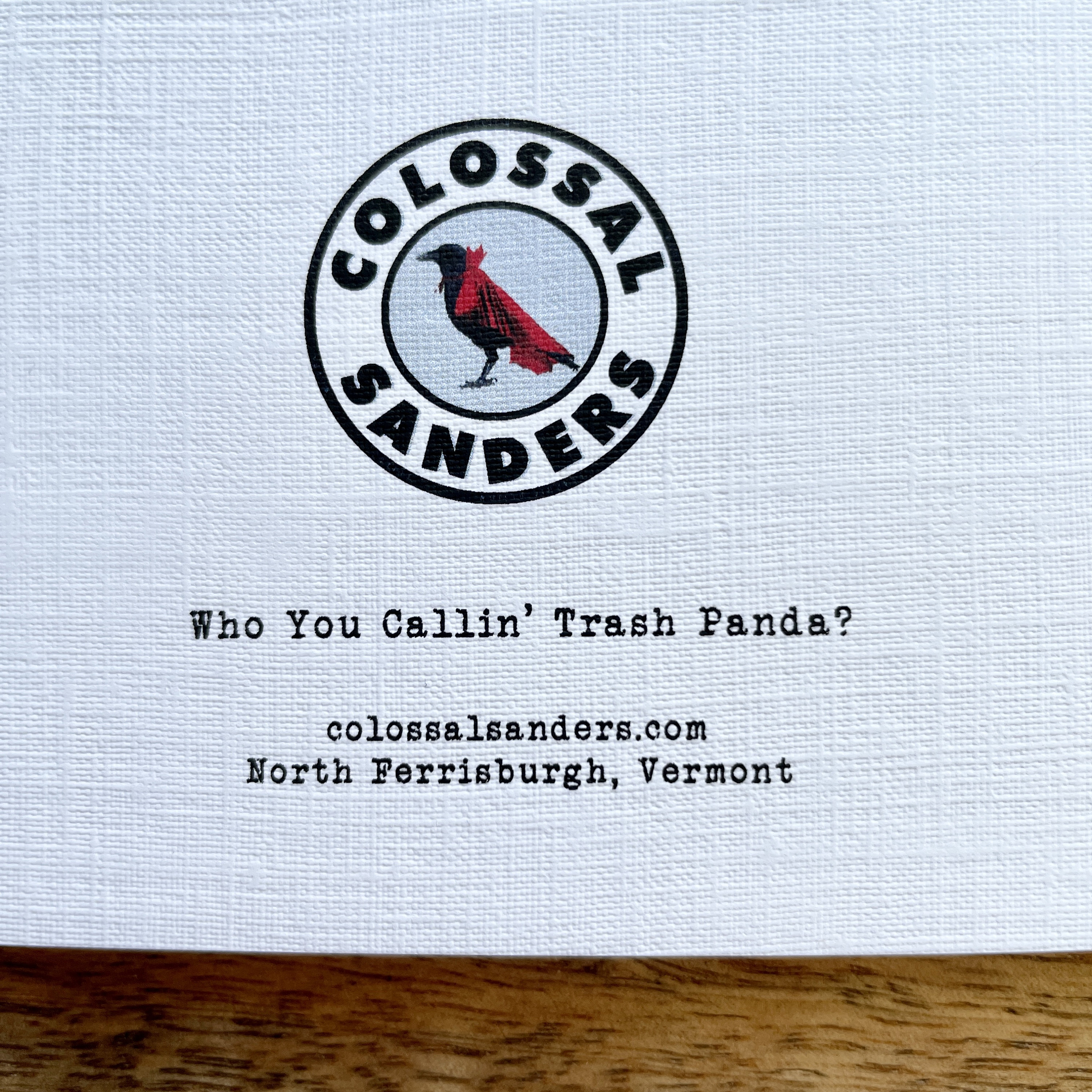 Raccoon Garbage Card Funny Greeting Card Animal Card Humor - Etsy