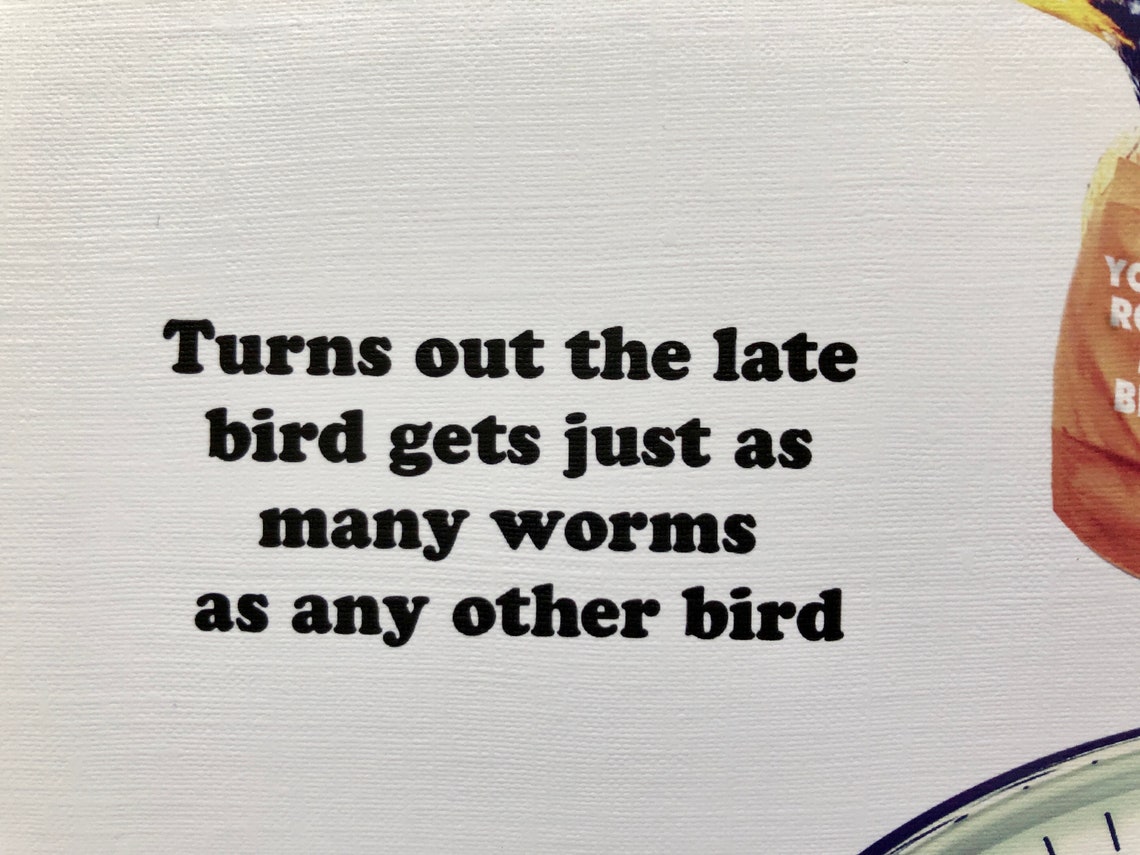 Funny Belated Birthday Card, Late Bird Greeting Card - Etsy