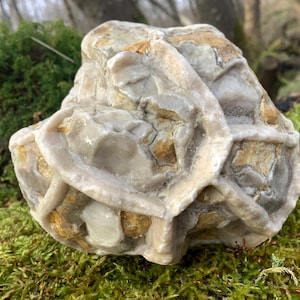 SEPTARY (# 18) – the Tortoise Stone, Guardian of Mental Balance, and ...