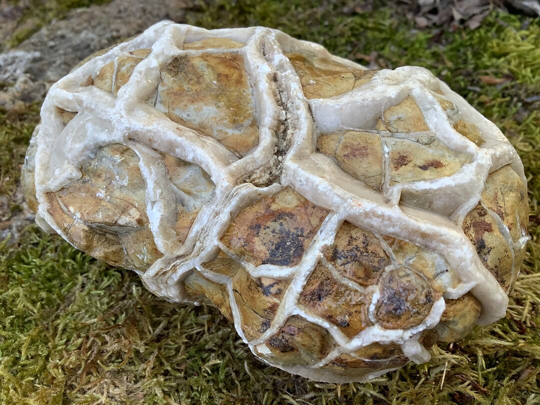Raw Septarian Stone (# 33) Rock Healing Reiki Chakras Protection ...