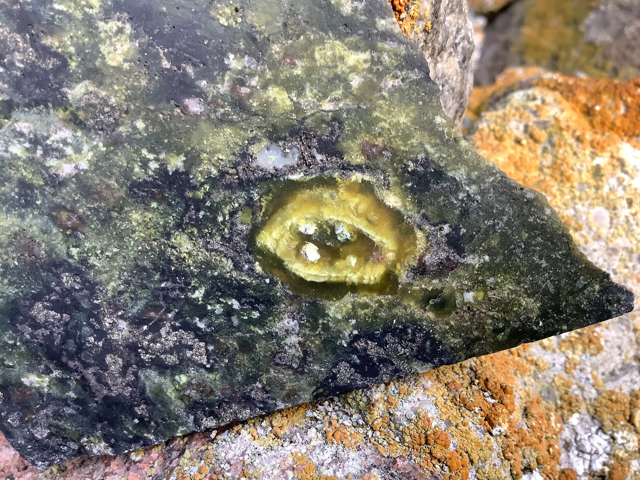 RAW Serpentine-serpentine-serpentine Slab coil - Etsy