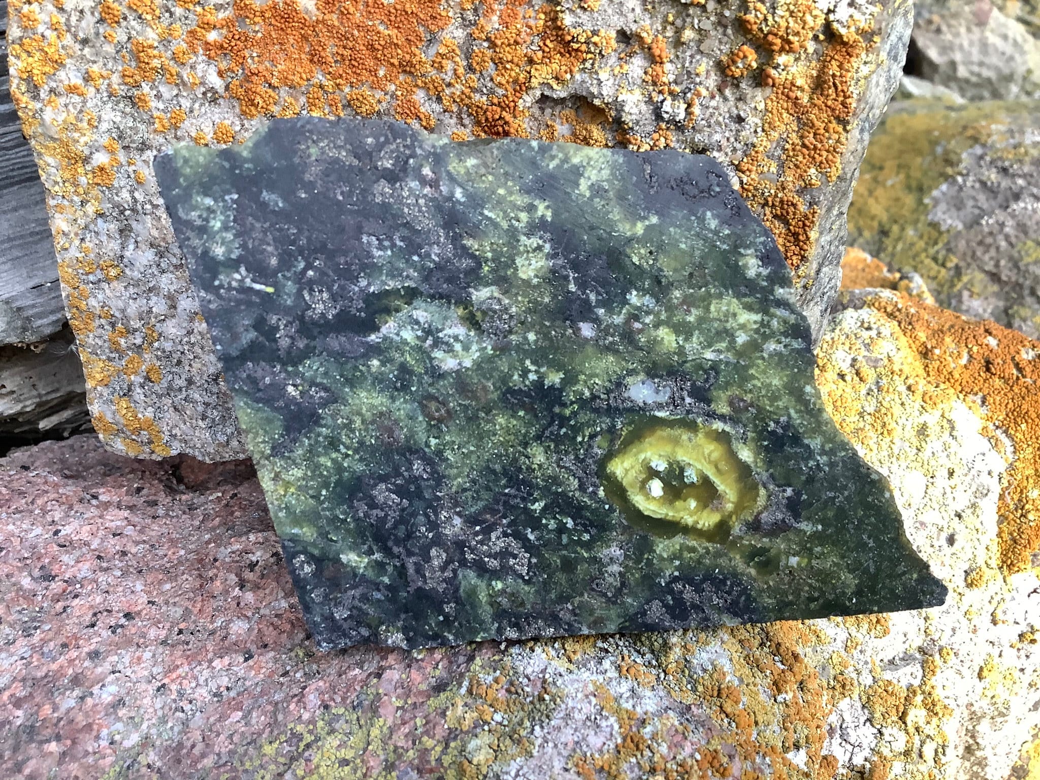 RAW Serpentine-serpentine-serpentine Slab coil - Etsy