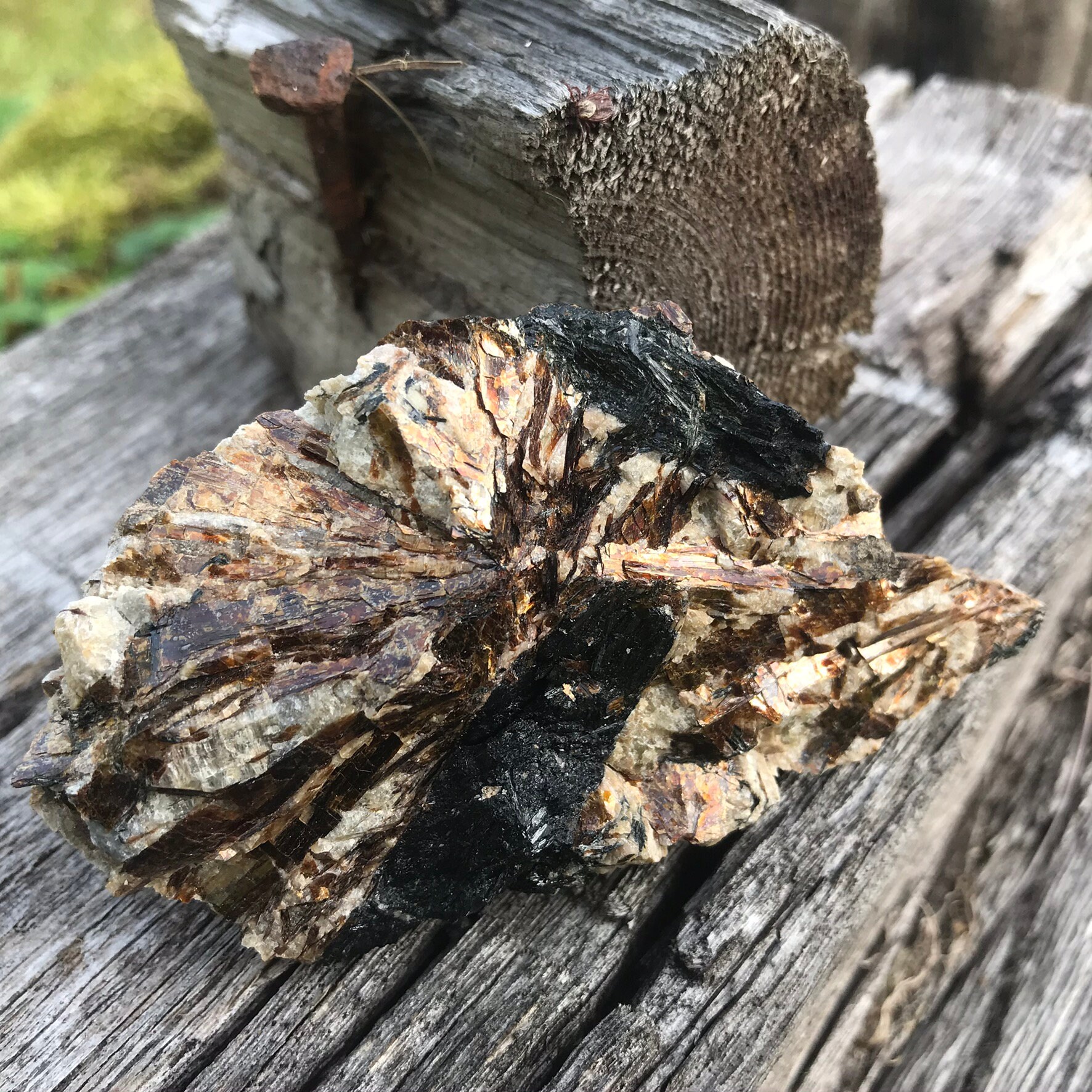 Rocks & Geodes Home Décor Raw Astrophyllite crystal 74x54mm. Fine ...
