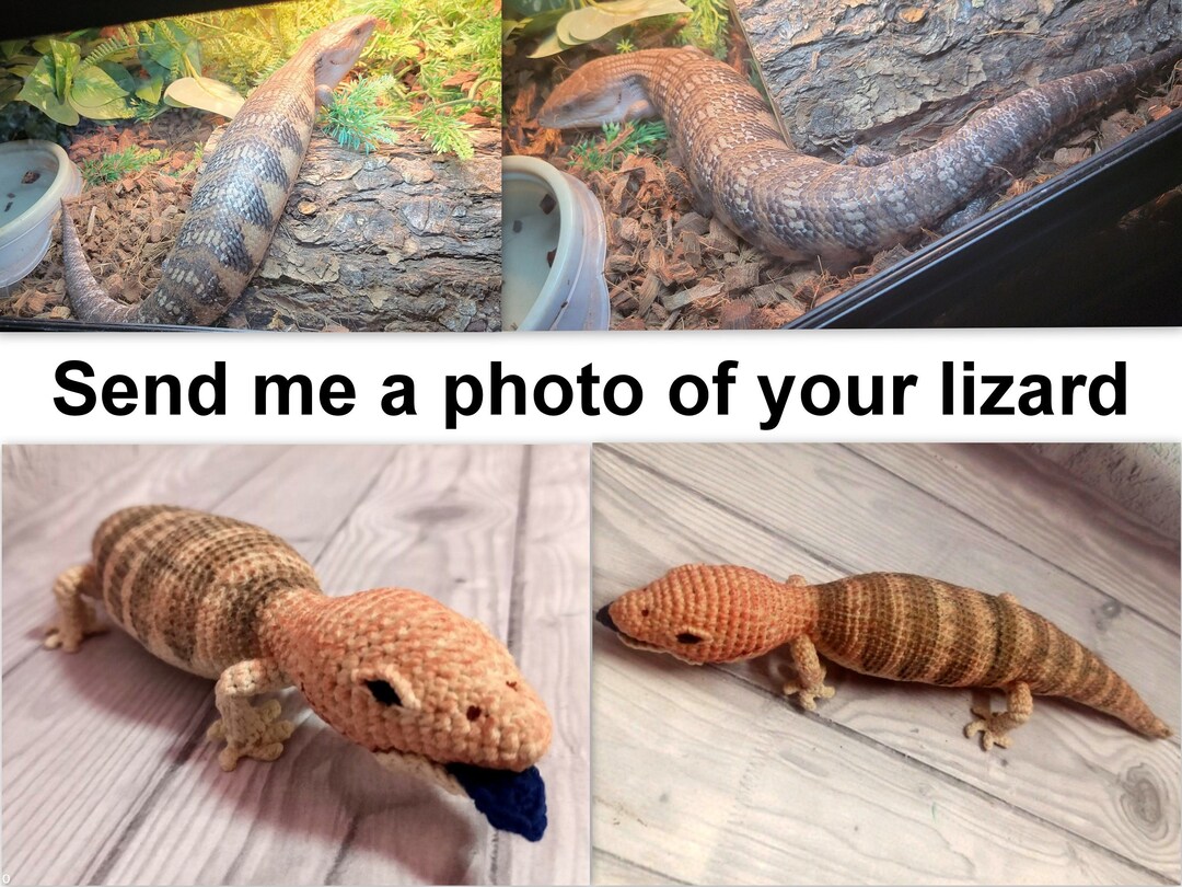 Blue Tongued Skink Plush, Crocheted Remember Replica, Custom Stuffed ...