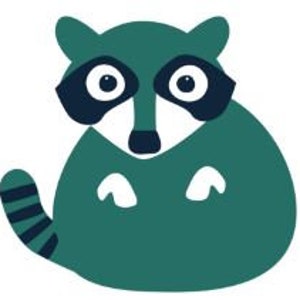 Reggie the Rhyming Raccoon Crocheted Plush From Drawing - Etsy