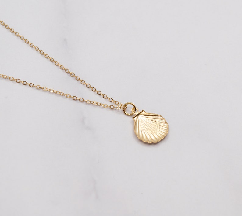 Shell Necklace, Tiny Shell Gold Filled Necklace - Etsy
