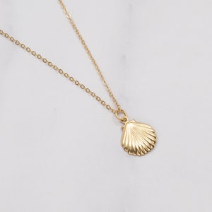 Shell Necklace, Tiny Shell Gold Filled Necklace - Etsy