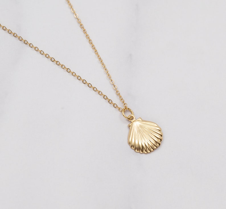 Shell Necklace, Tiny Shell Gold Filled Necklace - Etsy