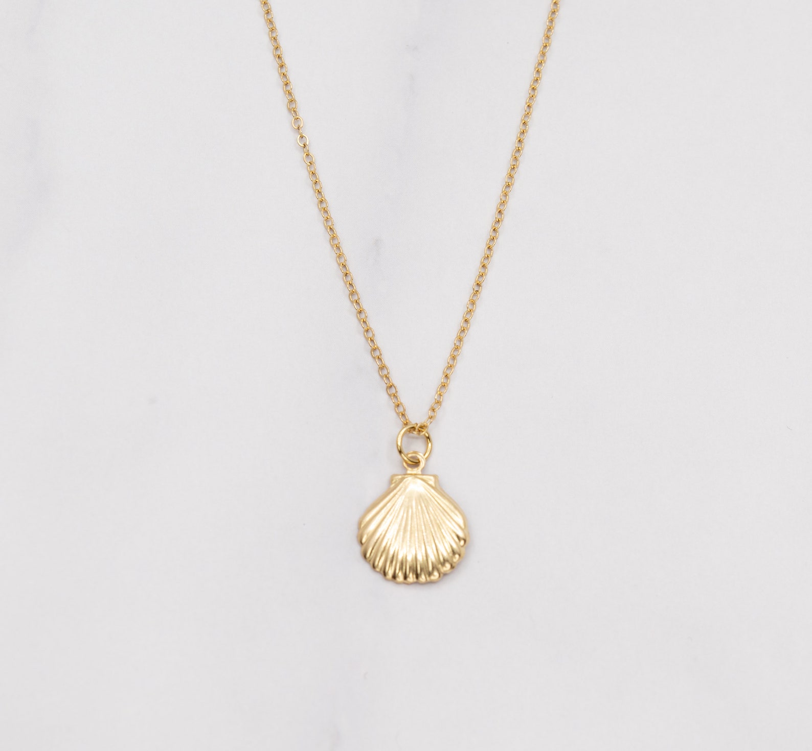 Shell Necklace Tiny Shell Gold Filled Necklace | Etsy