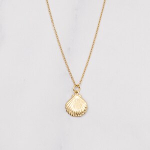 Shell Necklace, Tiny Shell Gold Filled Necklace - Etsy