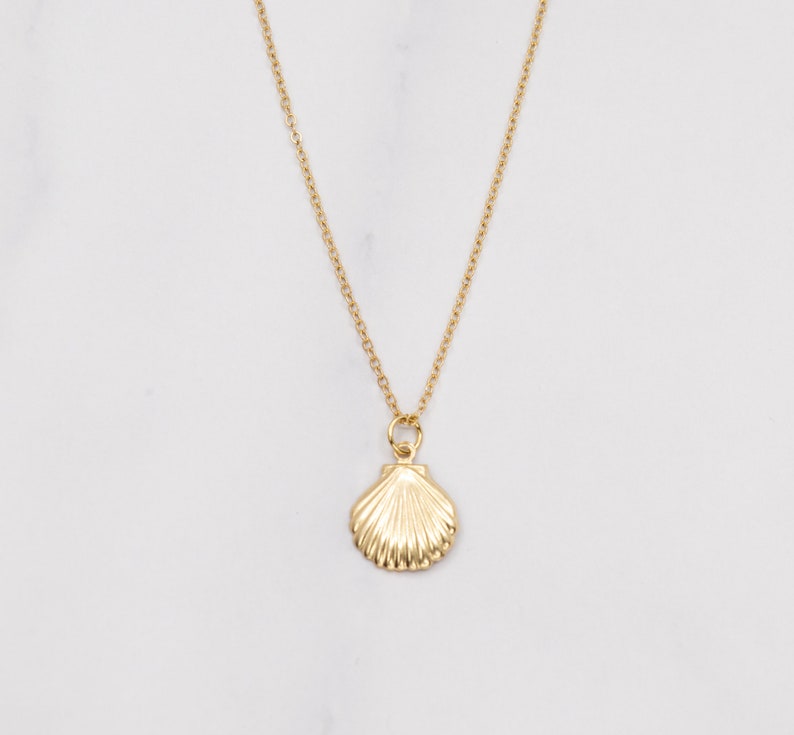 Shell Necklace, Tiny Shell Gold Filled Necklace - Etsy