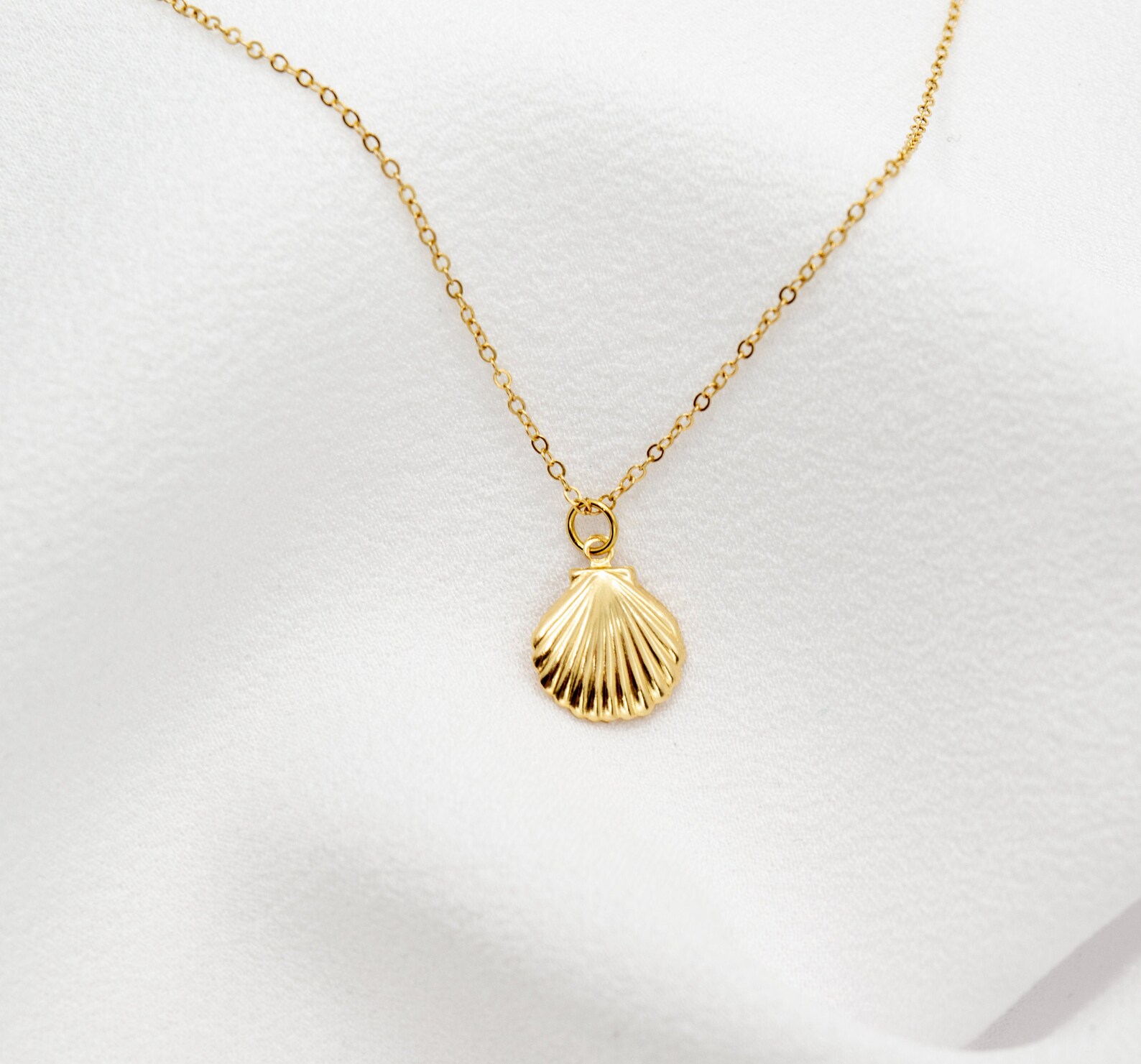 Shell Necklace Tiny Shell Gold Filled Necklace | Etsy