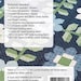 Edelweiss Quilt Pattern by Thimble Blossoms*shoreline Quilt Pattern ...