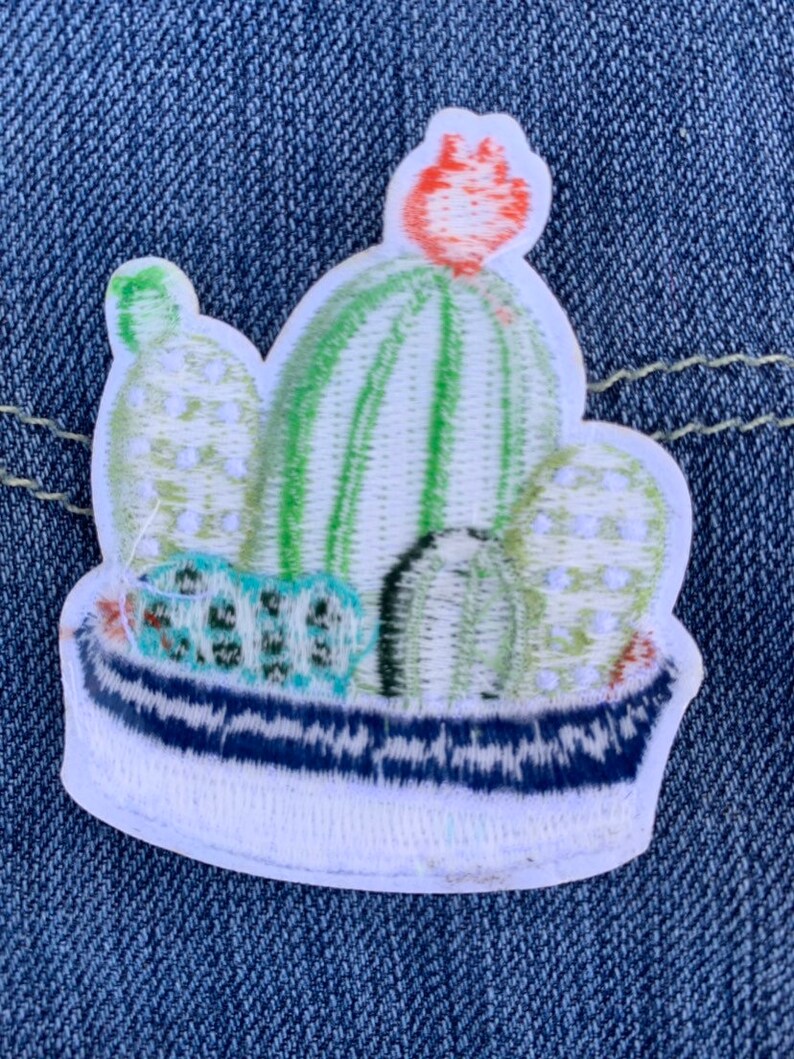 Cactus Pot Iron on Patch Succulent Pot Iron on Patch - Etsy