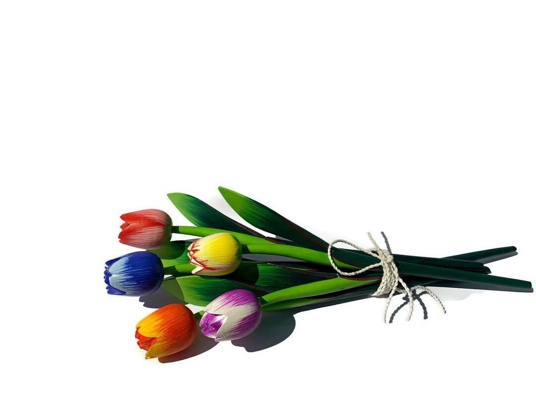 Multi-color Tulip Pack - Etsy