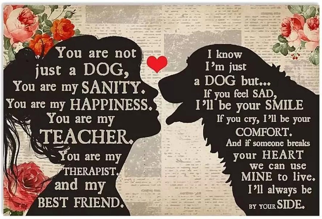 You Are Not Just A Dog You Are My Sanity Quote Dog Lovers Gift Custom ...