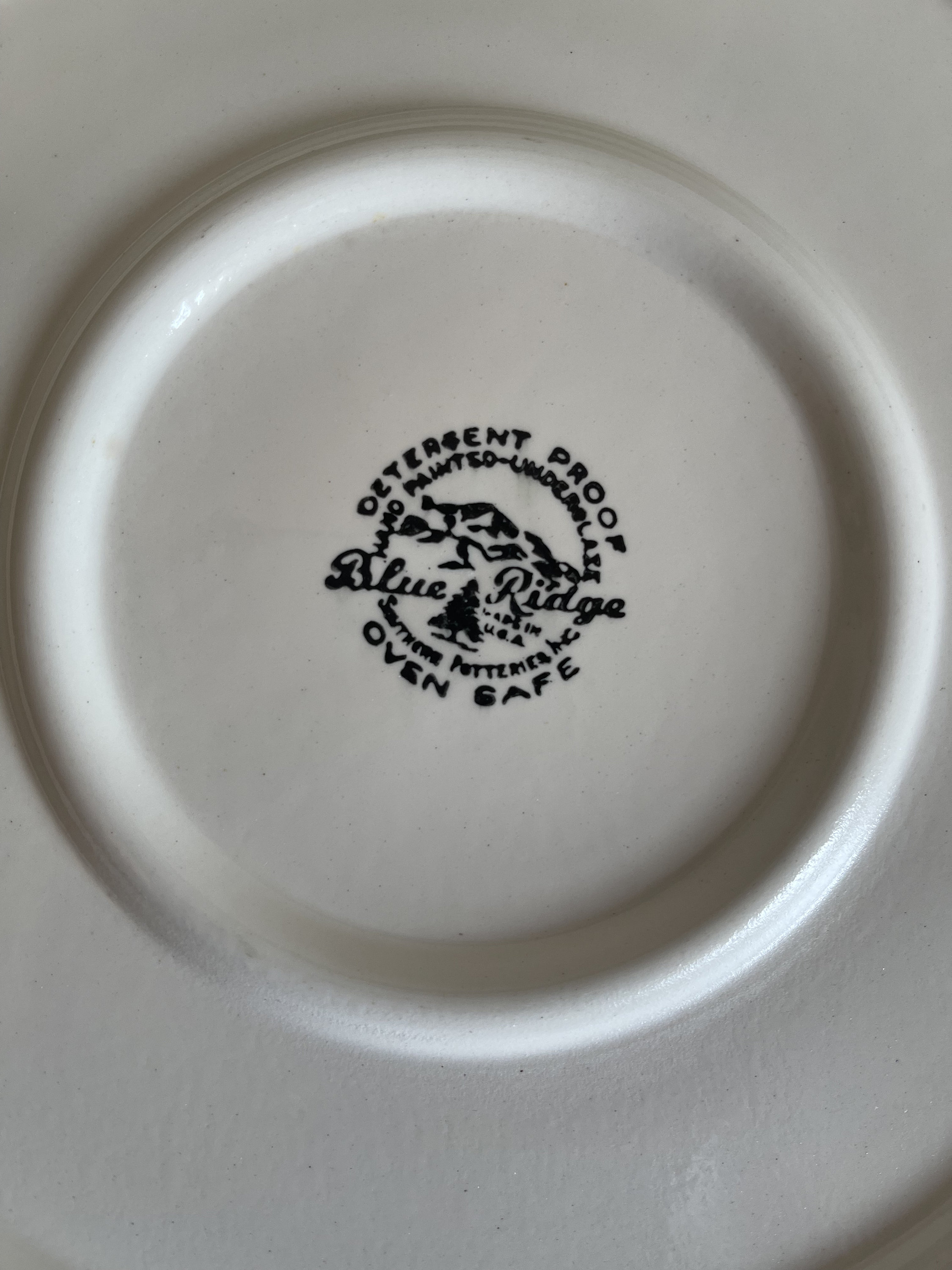 Vintage Blue Ridge Southern Pottery Stanhome Ivy Platter - Etsy