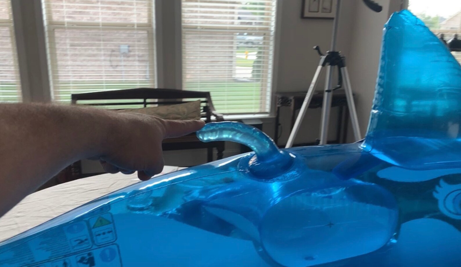 Free Willie Inflatable Whale With Built On Dildo Made To Etsy