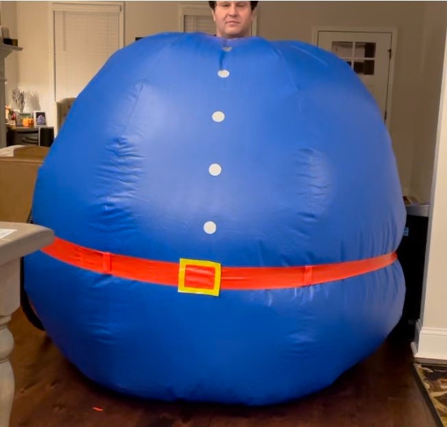 Violet Blueberry Costume