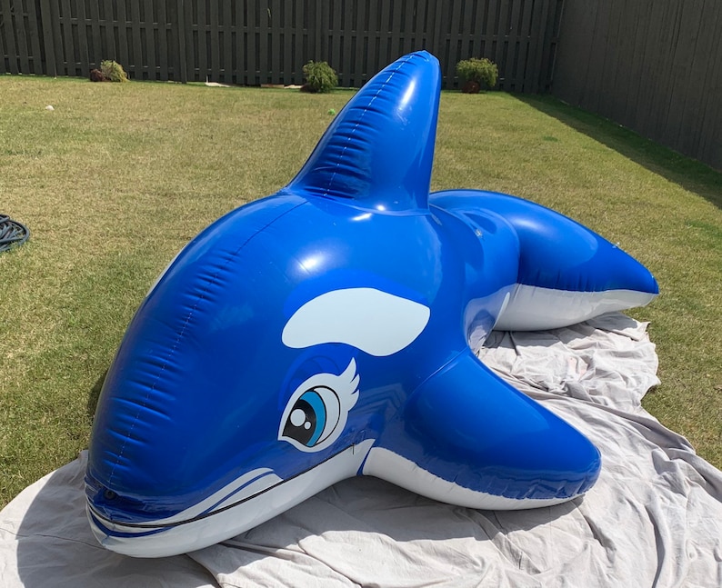4-6 week waiting period 3-meter inflatable PVC Whale Suit | Etsy