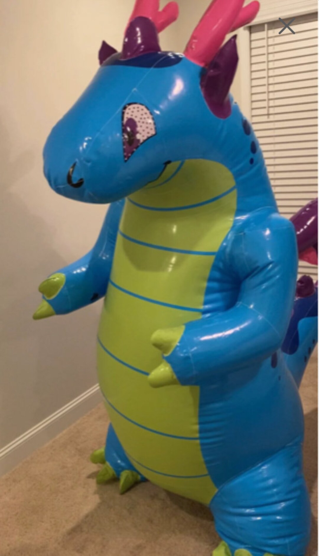 Made to Order Inflatable PVC Dragon Suit With Full Color Printing - Etsy