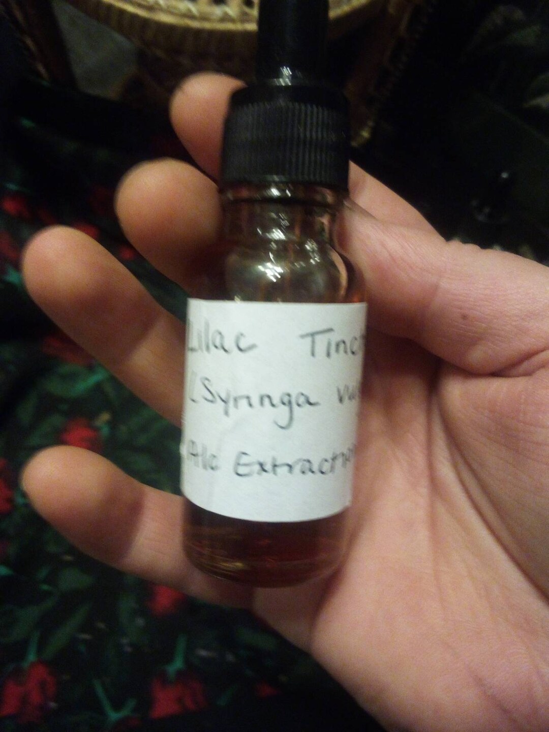 Lilac syringa Vulgaris Tincture 20ml Alc Extraction - Etsy