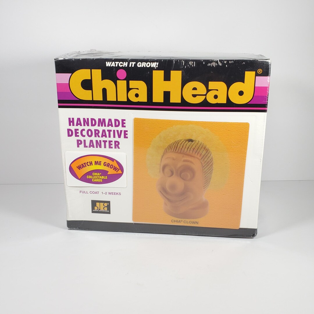 Vintage Chia Head Clown Planter Ceramic Clay Chia Clown Decorative ...