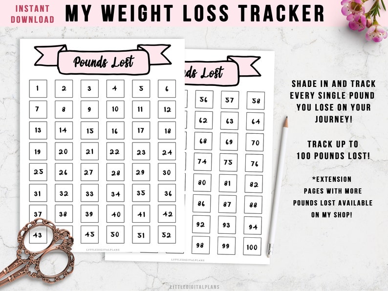 PRINTABLE Pounds Weight Loss Tracker and Bullet Journal Goal Setting ...