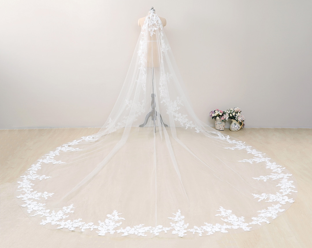 Floral Lace Cathedral Wedding Veil: Silver Glitter Tulle, Regal Length ...