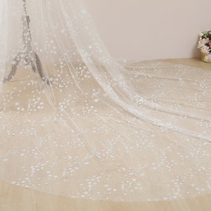 Sparkle Star Moon Bridal Cloak: Silver Shimmer Celestial Wedding Cape ...