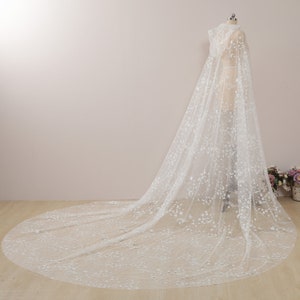 Sparkle Star Moon Bridal Cloak: Silver Shimmer Celestial Wedding Cape ...