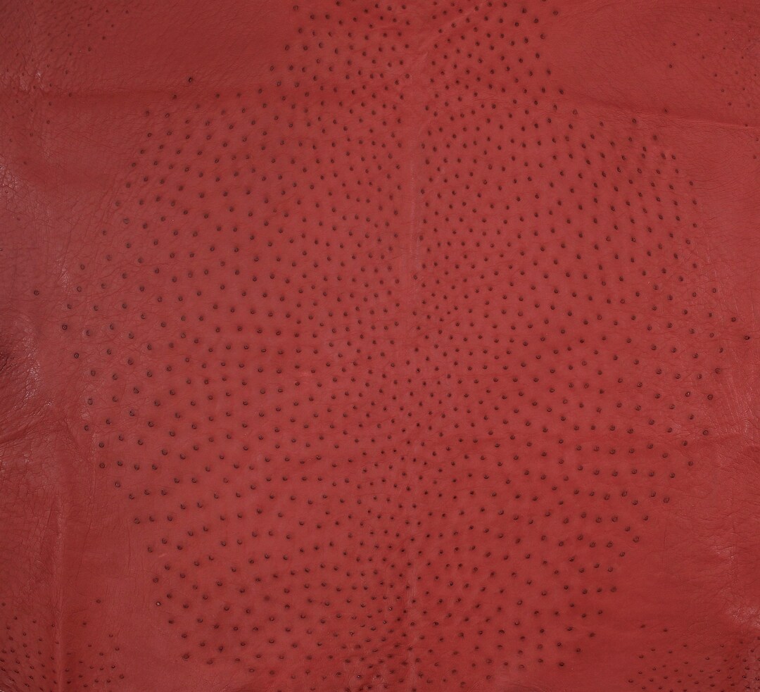 Ostrich Hide Leather Campari Color CF (%100 Genuine Natural Skin) - Etsy