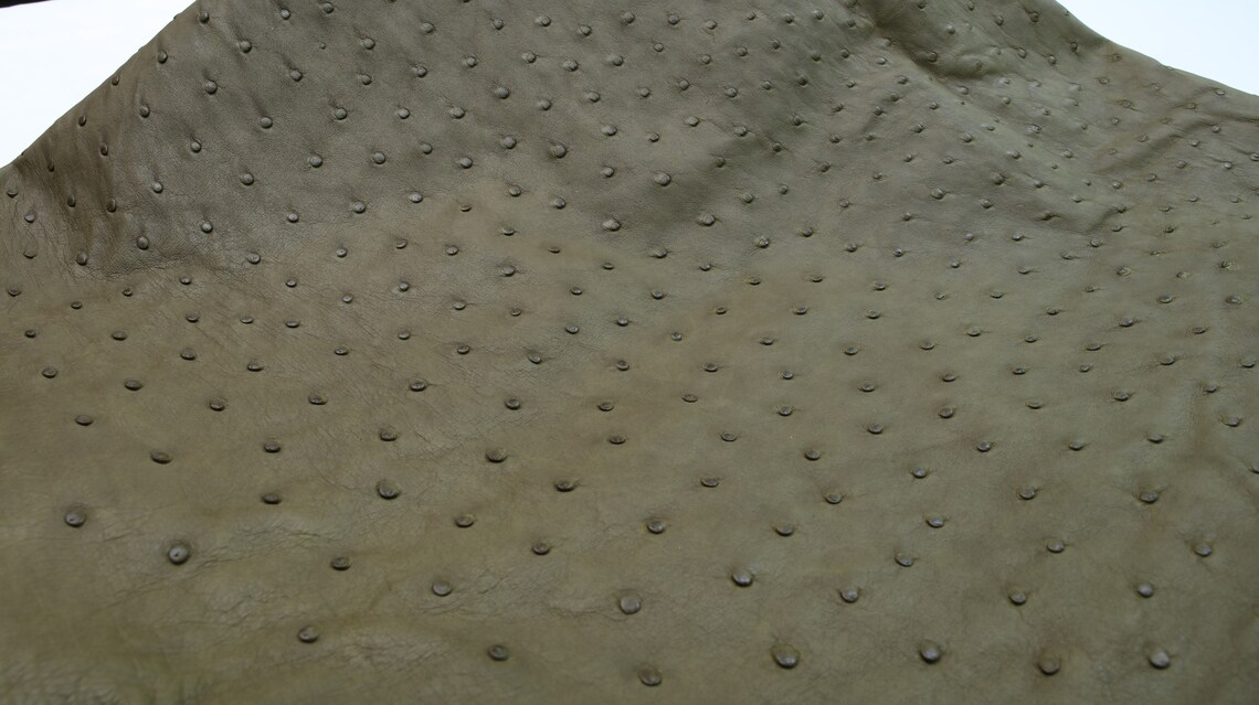 Ostrich Hide Leather Olive Green Color %100 Genuine Natural - Etsy