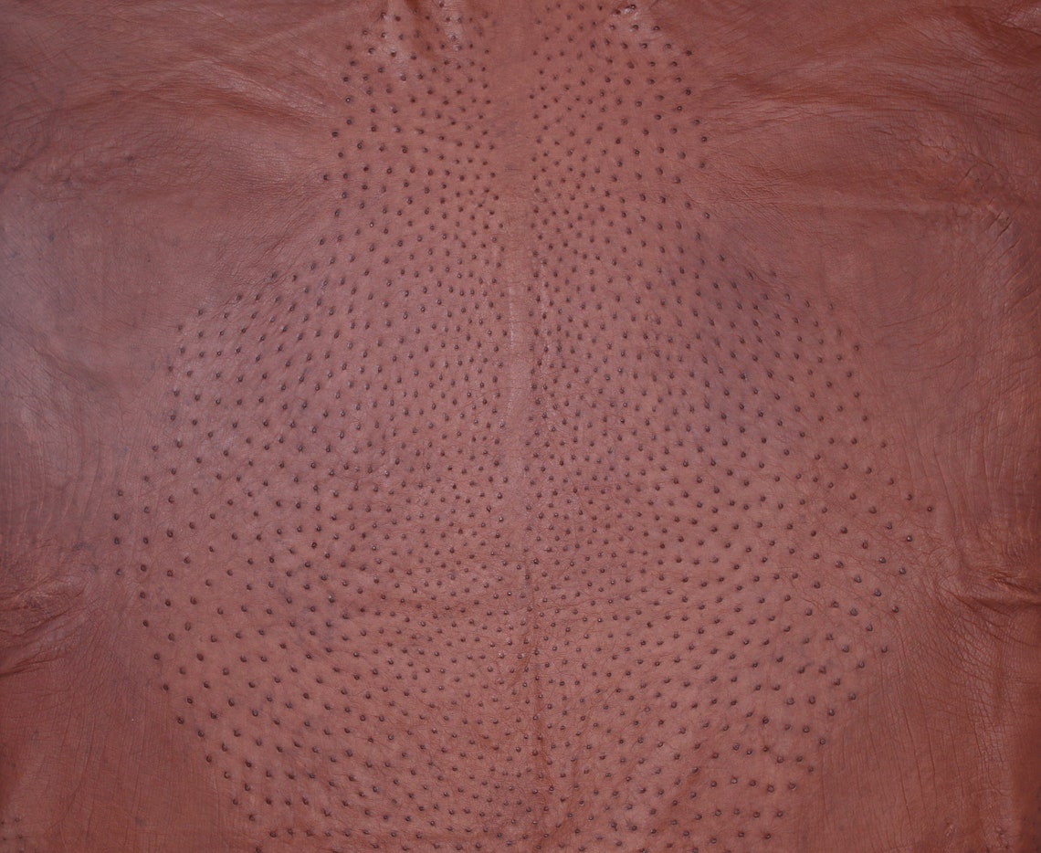 Ostrich Hide Leather Burnt Umber Color %100 Genuine Natural - Etsy