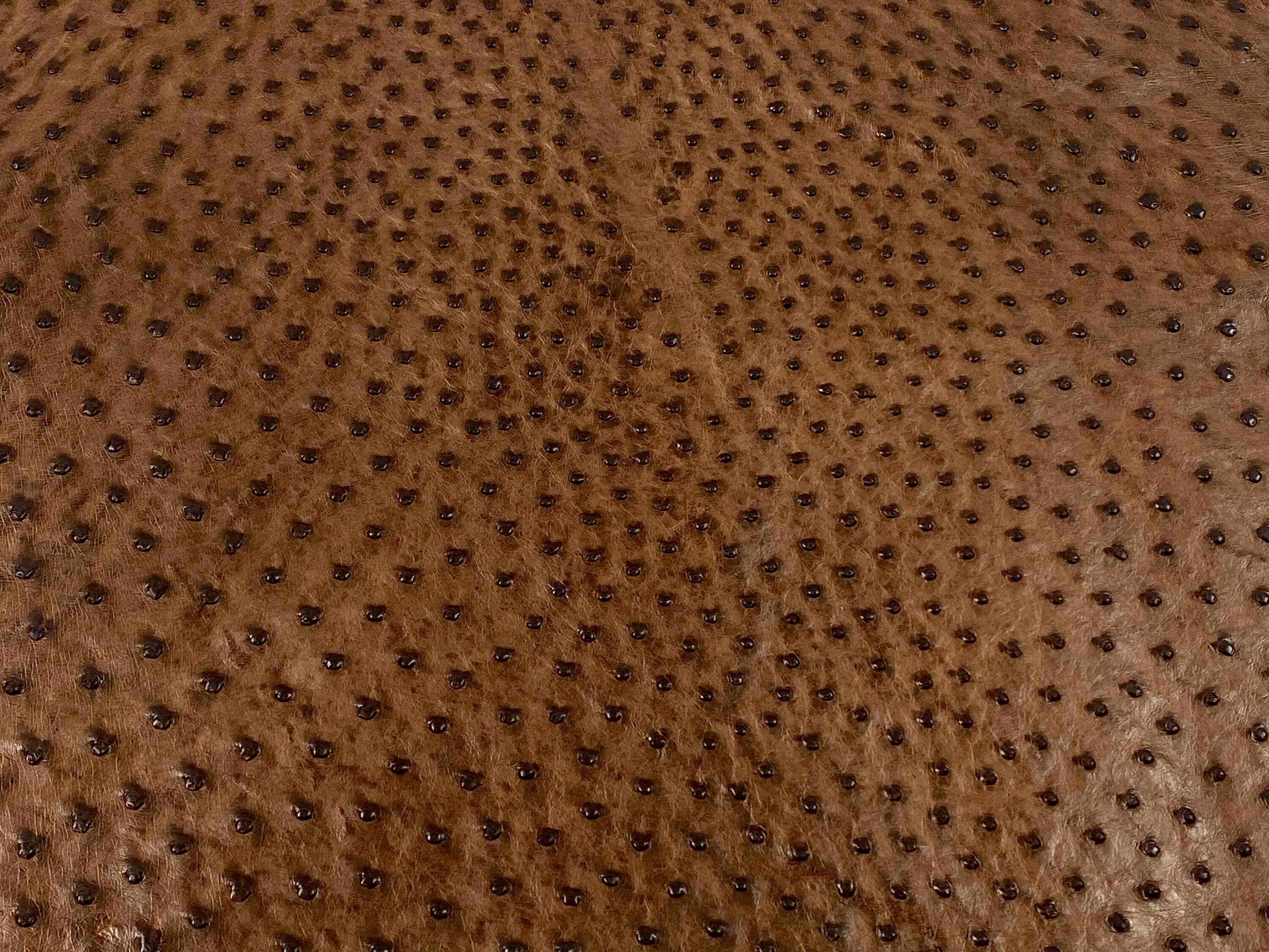 Ostrich Hide Leather Kango Tabac Color burciato %100 | Etsy