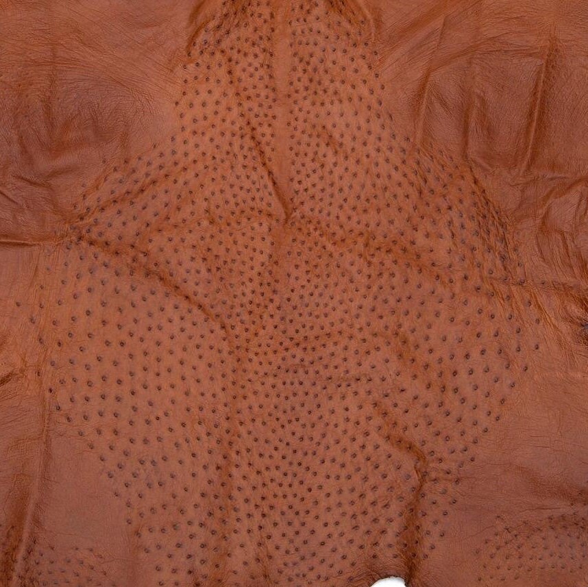 Ostrich Hide Leather Cinnamon Color maddog %100 Genuine | Etsy