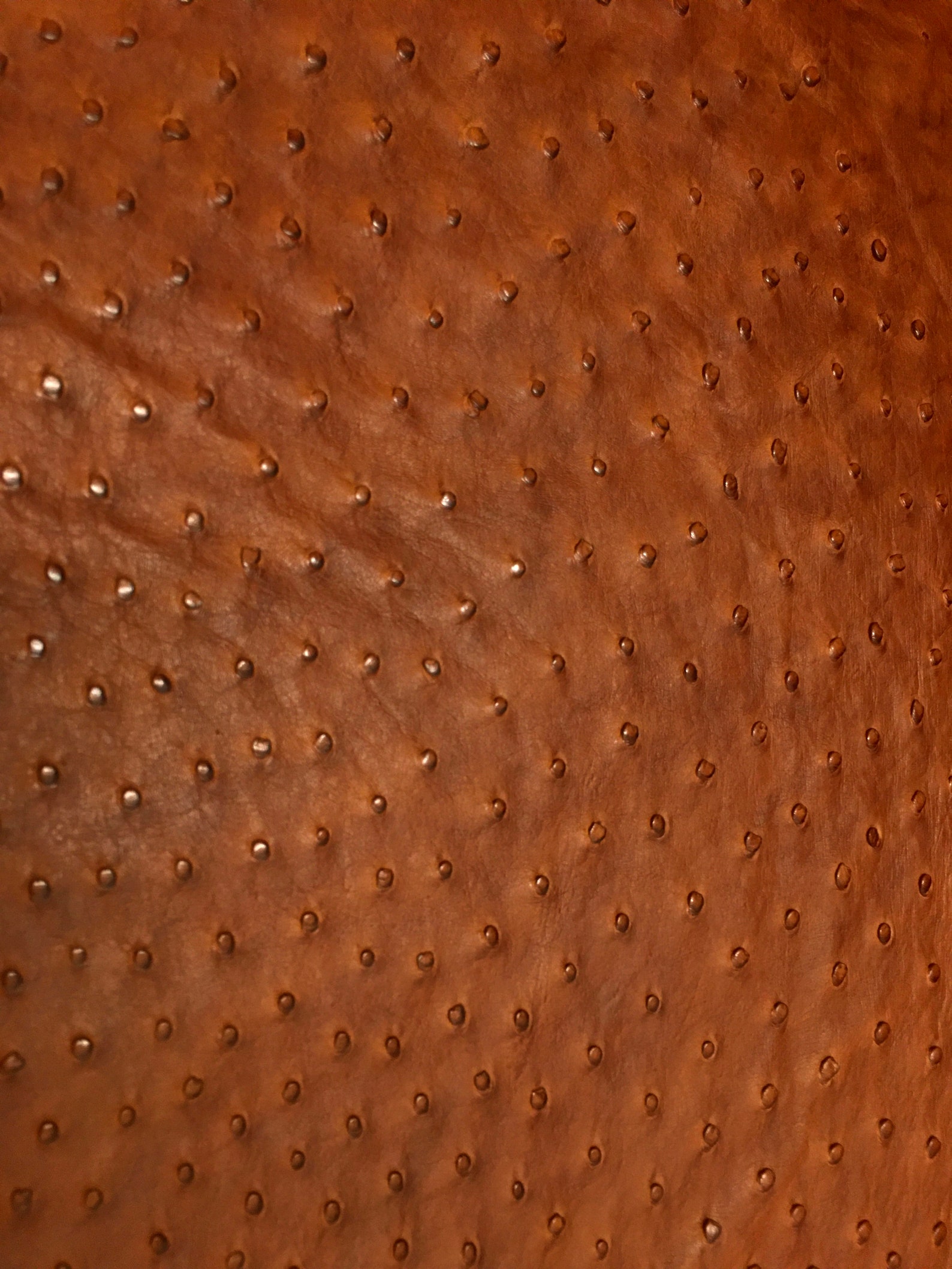 Ostrich Hide Leather Cinnamon Color maddog %100 Genuine | Etsy