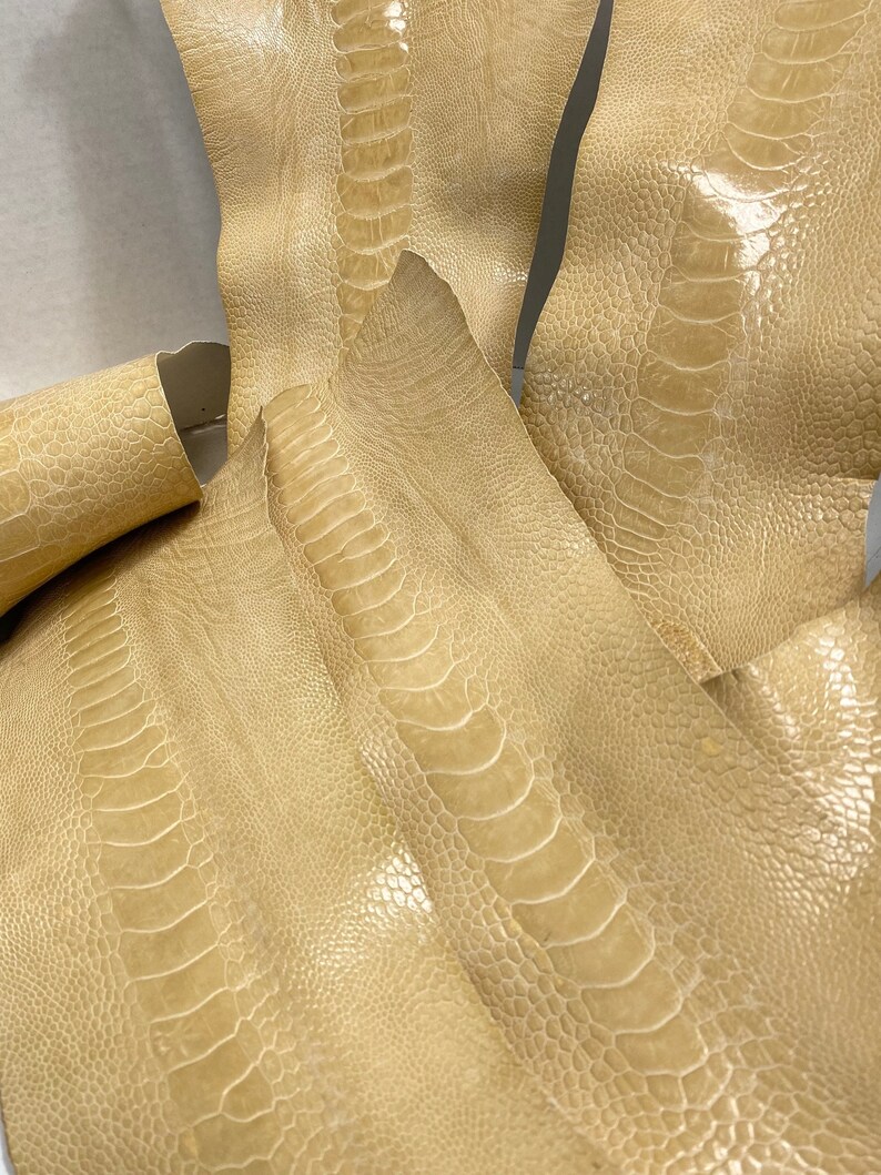 Ostrich Legs Leather Winter Wheat Color Grad A - Etsy