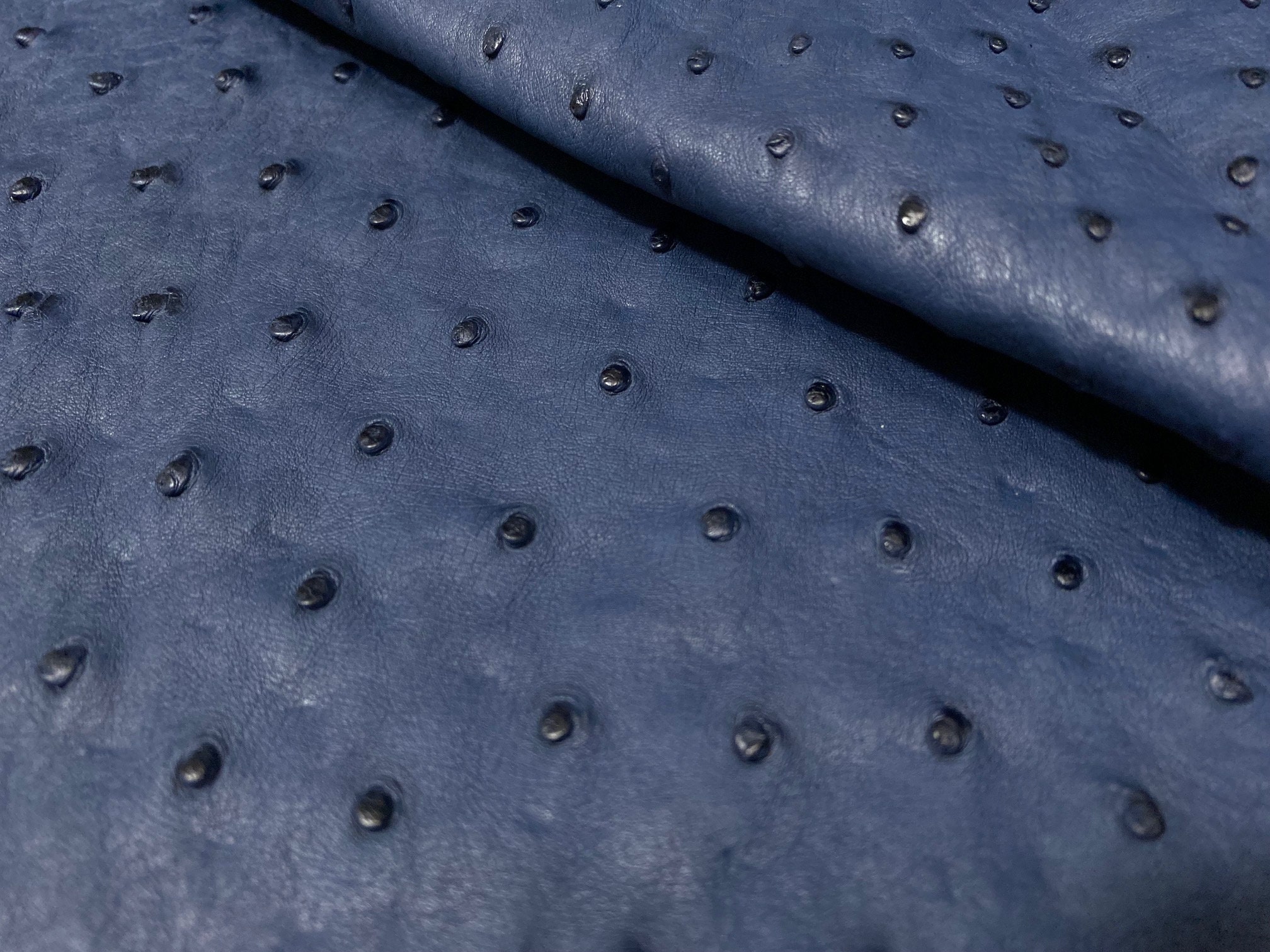 Ostrich Hide Leather Irish Blue Color %100 Genuine Natural - Etsy