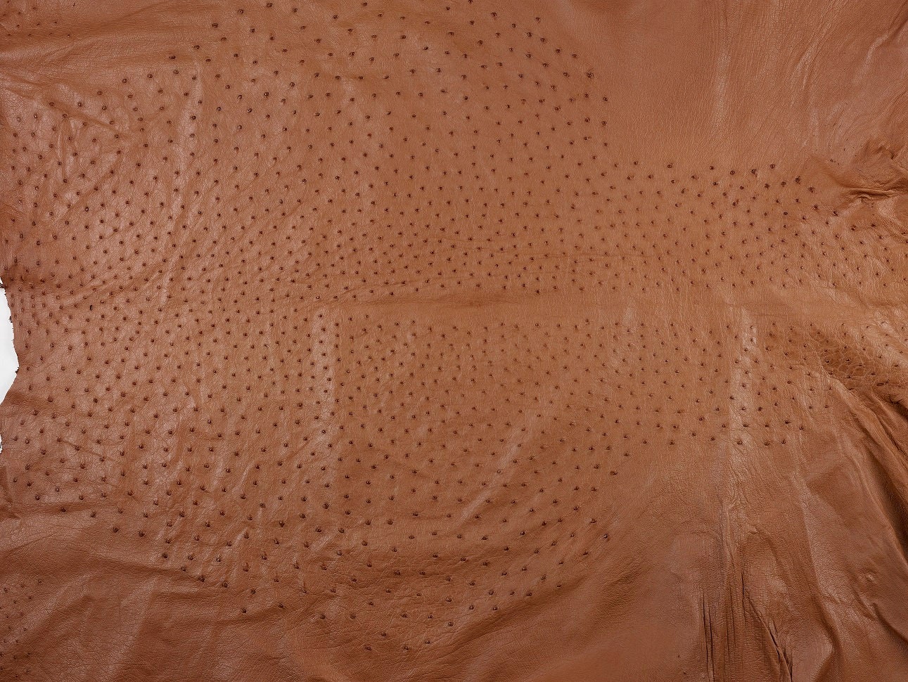 Ostrich Hide Leather Saddle Color %100 Genuine Natural Skin | Etsy