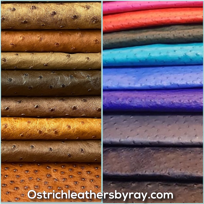 Ostrich Skin Leather Black Color (%100 Genuine Natural Skin) - Etsy