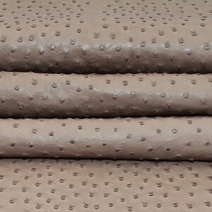 Ostrich Skin Leather Mink SF Color (%100 Genuine Natural Skin ) - Etsy