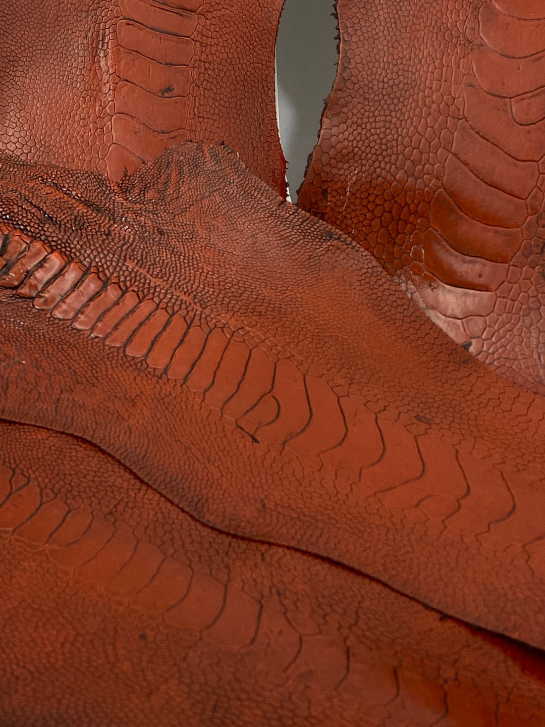 Ostrich Legs Leathers Almond Vintage GL Color - Etsy