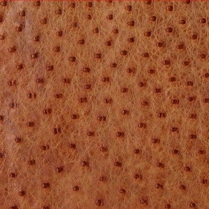 Ostrich Hide Leather Chestnut Color (maddog) (%100 Genuine Natural Skin ...