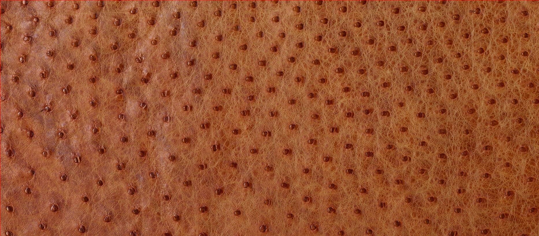 Ostrich Hide Leather Chestnut Color maddog %100 Genuine | Etsy