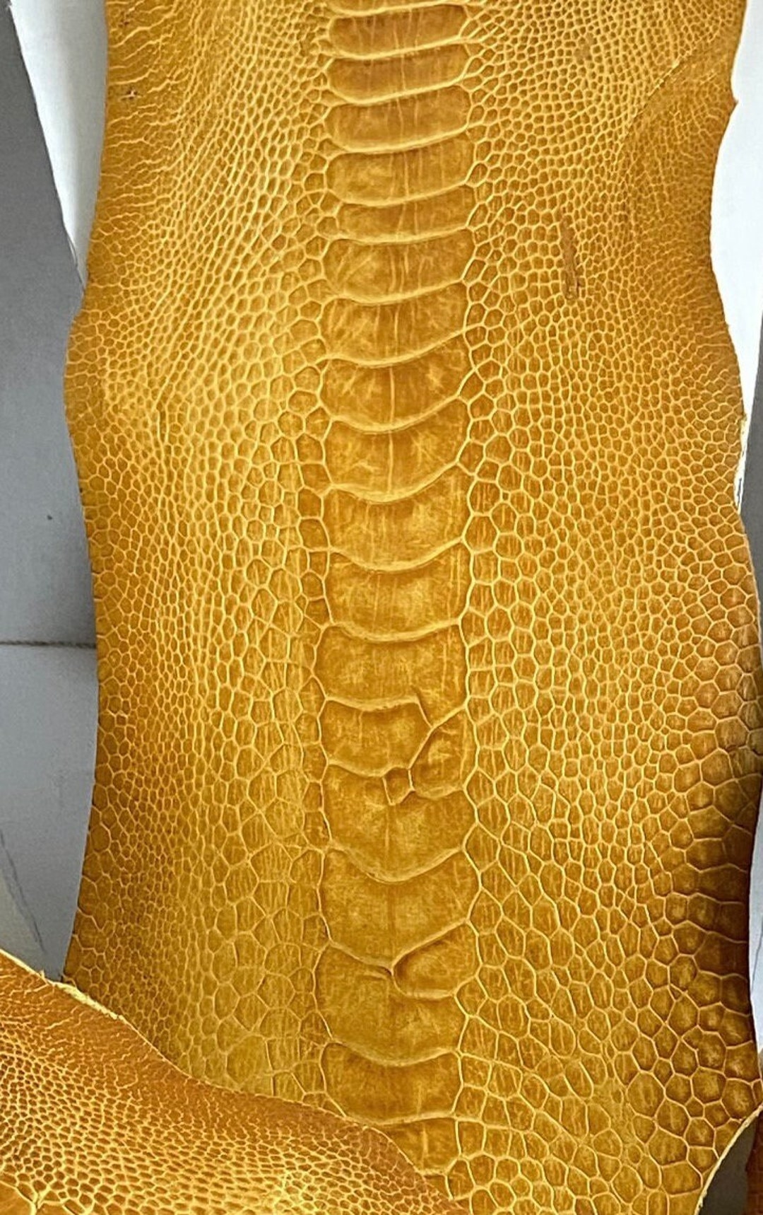Straußenbeine Leder Senf GL Farbe G.B - Etsy Österreich