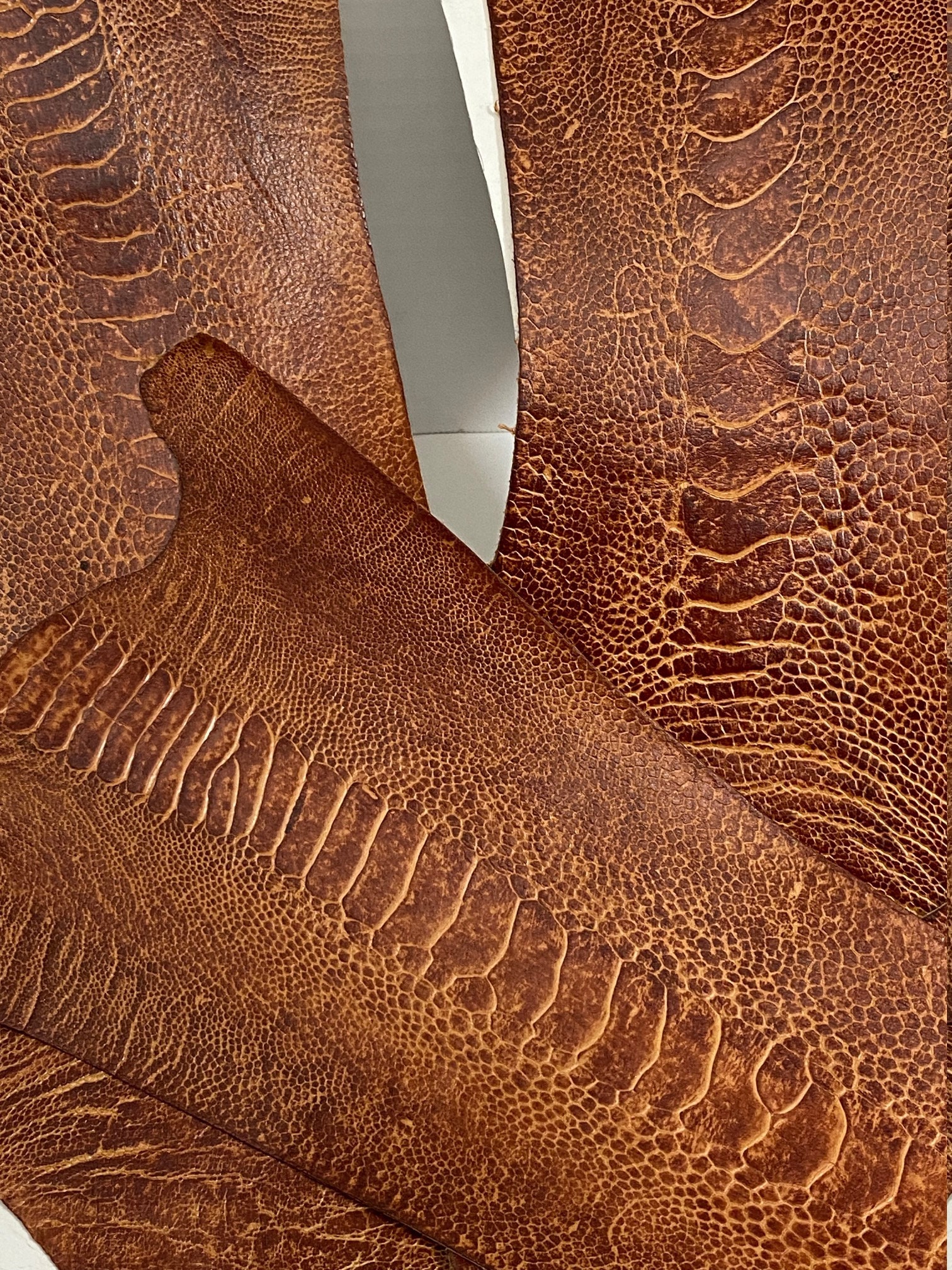 Ostrich Leg Leathers Vintage Chestnut Color | Etsy