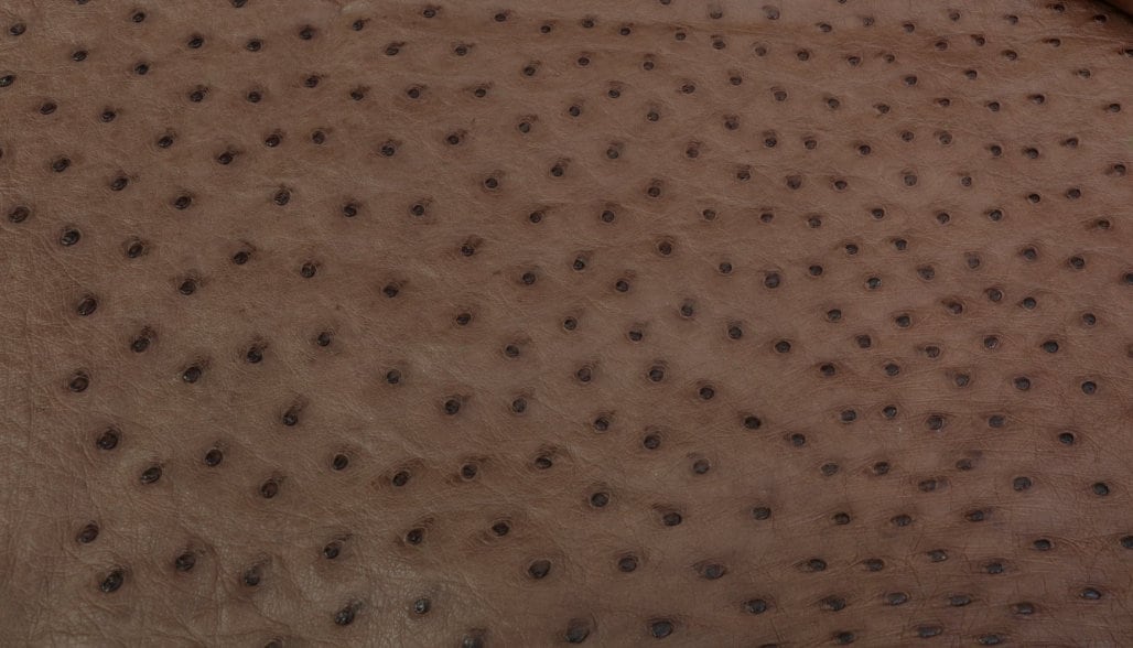 Ostrich Hide Leather Rum Brown Color (CF) (%100 Genuine Natural Skin ...